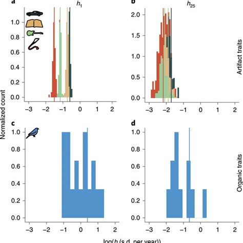 Sophia Ananiadou Doctor Of Philosophy The University Of Manchester Manchester School Of