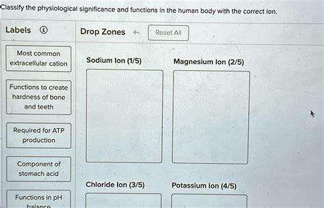 SOLVED Classify The Physiological Significance And Functions In The Human Body With The Correct