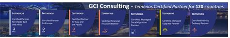 Gci Consulting Linkedin