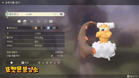 레전드 아르세우스 이로치 전설의 포켓몬 목록 포켓몬 분양소