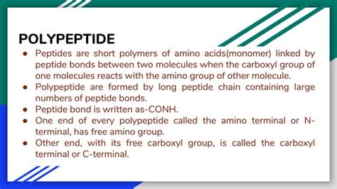 Polypeptidespeptides Types Of Peptides Structure Of Dipeptide