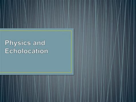 Physics And Echolocation Pptx