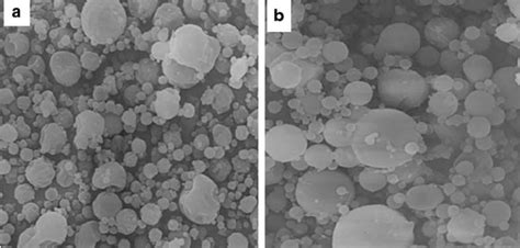 Sem Micrographs Of Eudragit A And Chitosan B Microspheres