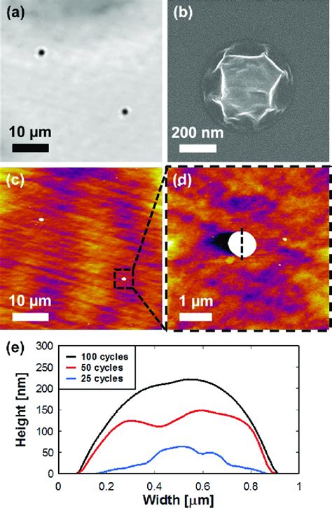 Top View A Optical Microscopy B Field Emission Scanning Electron