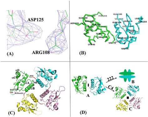 The Crystal Structure Of Hiv 1 Nef Nefrp14 A A Section Of The