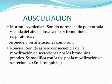 Ppt Torax Powerpoint Presentation Free Download Id2921768