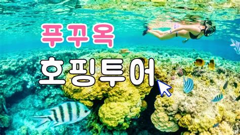 베트남 푸꾸옥 🇻🇳호핑투어 추천 낚시 오징어잡이 선셋타운 호핑투어까지 남부 오션투어의 모든것 Youtube