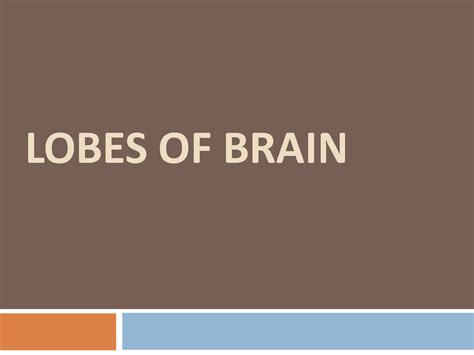 SOLUTION: 7 lobes of brain - Studypool
