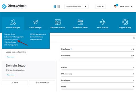 softsys hosting how to manage dns records in directadmin