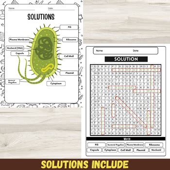 Label The Bacteria Cell Bacterial Cell Structure Worksheet Activities