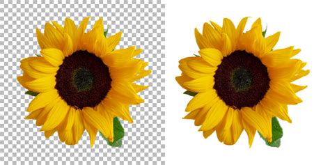 How To Remove The Checkered Background In Photoshop