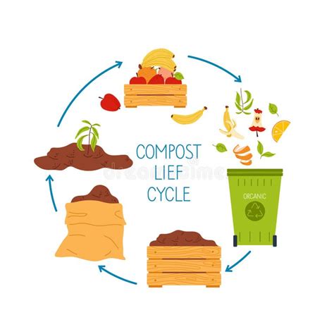 Understanding The Compost Life Cycle Through Visual Representation And Key Processes Stock