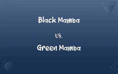Black Mamba Vs Green Mamba Whats The Difference