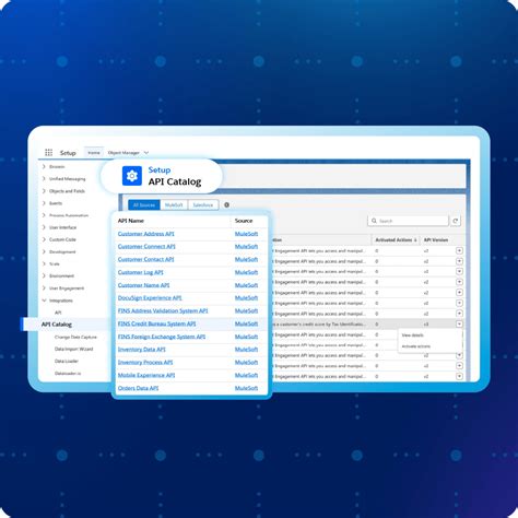 Agentforce Mulesoft Mulesoft