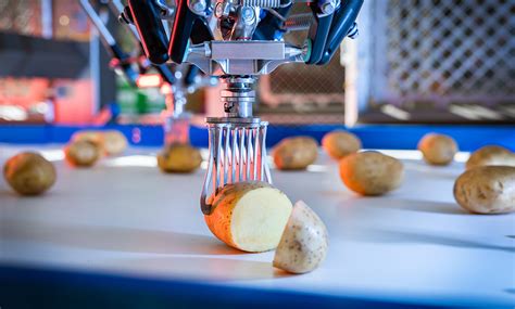 Halving Potatoes Pip Innovations