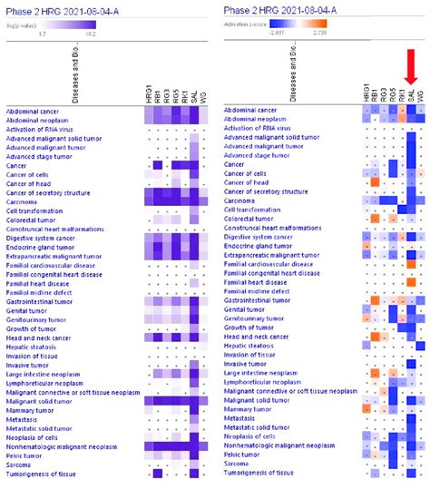 predicted effects of rg rs sal at concentrations of 20 µg ml rg at