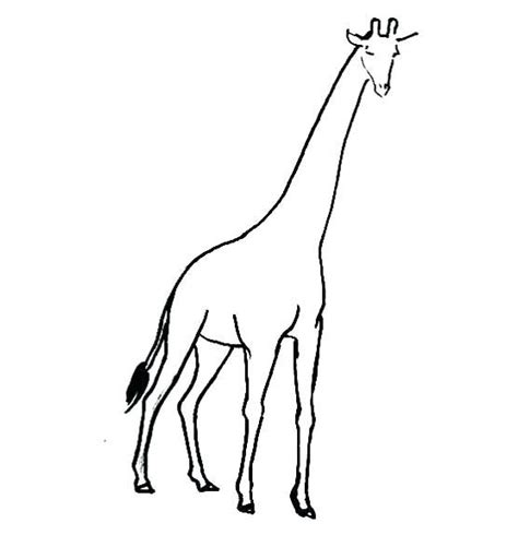Cute Giraffe Coloring Pages Pdf Printable