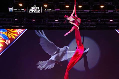 Imaginarium Lights Up San Diego With Magical Wonderland