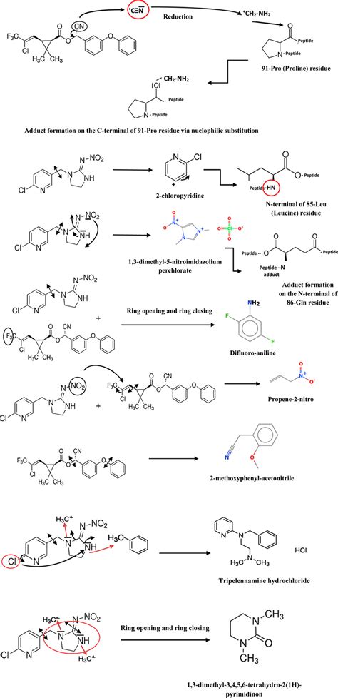 Shotgun Proteomic Based Approach With A Q Exactive Hybrid Quadrupole Orbitrap High Resolution