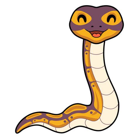120 Royal Albino Python Stock Illustrations Royalty Free Vector