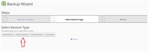 Cpanel Backup Wizard Supporthost