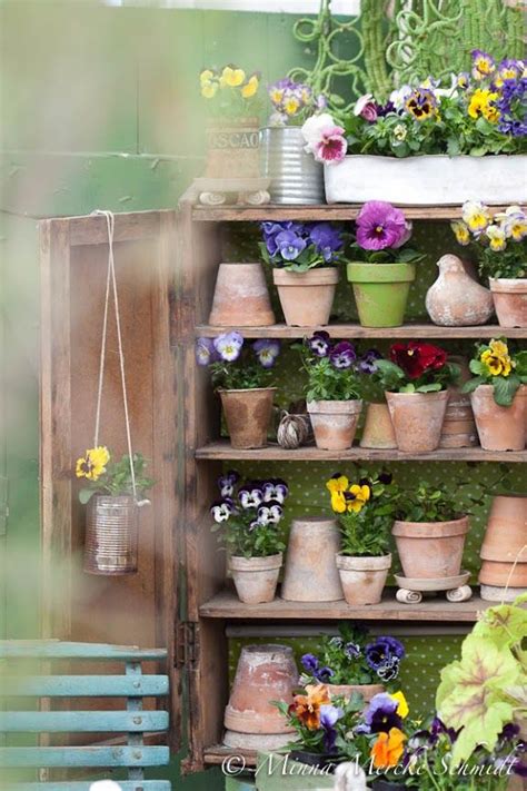 Blomsterverkstad Penséer Plantering Trädgårdsodling I Kruka