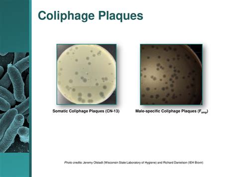 Multi Laboratory Validation Of Methods Ppt Download