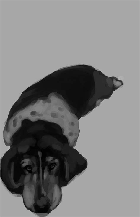 My Bassett By Number9studio On Deviantart