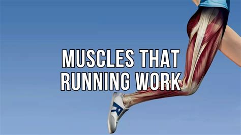 What Muscles Does Running Work Stretches To Protect Them