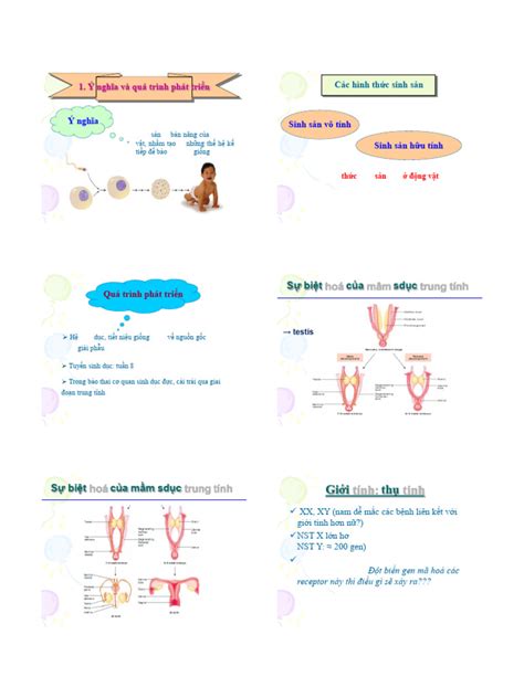 Sinh Ly Sinh San - SH, SD | PDF