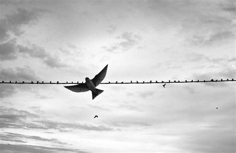 Jon Wainwright Photographer