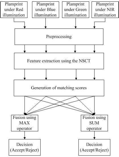 Summax Fusion Strategies Used For Multispectral Palmprint Images Download Scientific Diagram