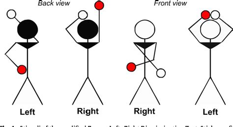 Structure Of Angular Gyrus Semantic Scholar