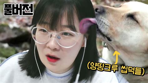 씹덕이 된 양띵 Youtube