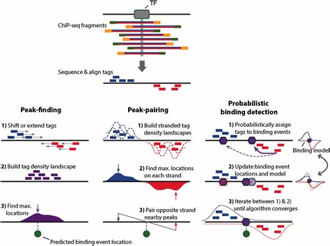 Analysis Of Chip Seq Data Galaxy Community Hub