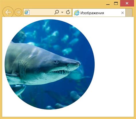 Круглые изображения Html5 и Css3 на примерах Webreference