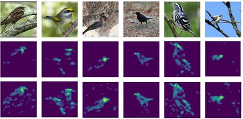 L2 Norm Of The Features Before And After Normalization Top Input Download Scientific Diagram