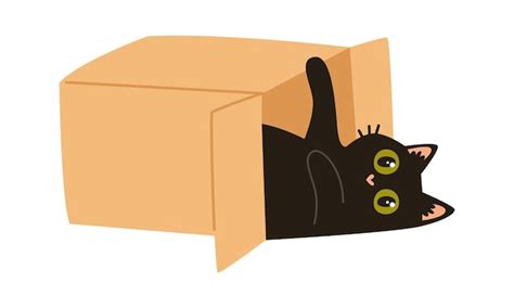 Gato Jugando En Una Caja Vector Premium