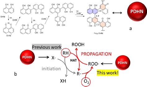 Figure 1 From Insight Into The Antioxidant Activity Of 1 8 Dihydroxynaphthalene Allomelanin