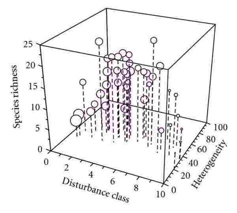 Relationships Among Ant Species Richness Disturbance Class Spatial