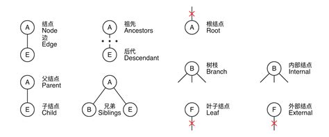树 数据结构 与 算法 ZZAX 文档