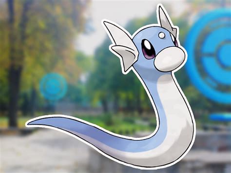 Dratini Evolusjonskart Should I Give Dratini The Everstone Or Let Him