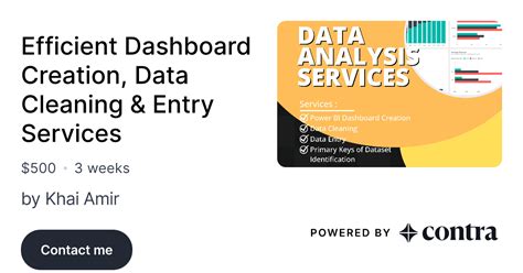 efficient dashboard creation data cleaning and entry services by khai amir