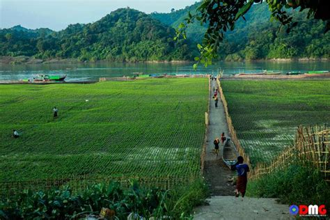 ရခိုင်မှ စိုက်ပျိုးရေး၊ မွေးမြူရေးလုပ်ငန်းများအတွက် ငွေကျပ် ၁၀ ဘီလီယံ ထုတ်ချေးရန်စီစဉ်နေဟုဆို