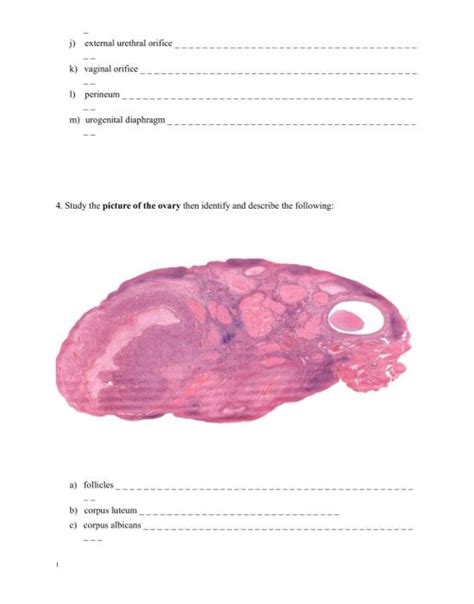 Study Male Models And Be Able To Identify The Chegg Com