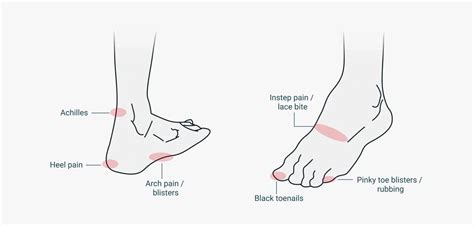 Understanding Differences Between Men S And Women S Running Shoes RunRepeat