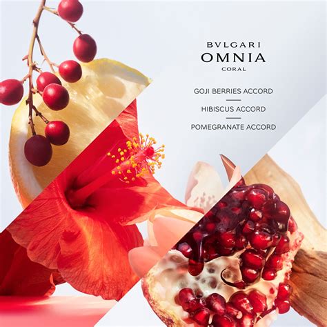 Bvlgari Omnia Coral Eau De Toilette For Women Notino Ie