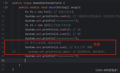 Java基础之继承的概念（全网最详细）java继承的基本概念 Csdn博客