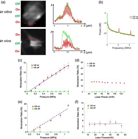 Ultrasound Modulation Assisted Multiphoton Imaging