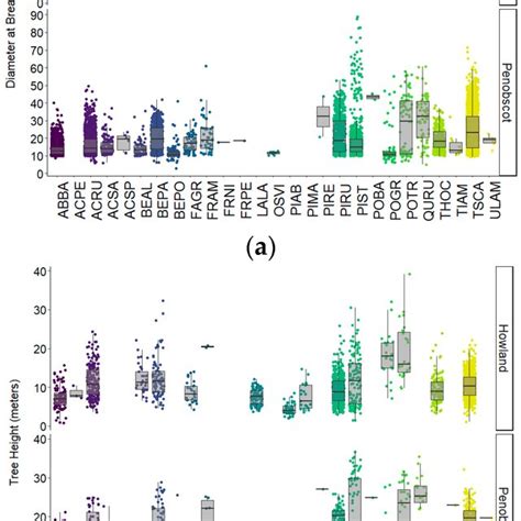 plots of individual tree diameters at breast height by species summary